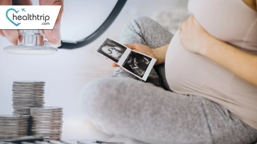 The Complete Guide to IVF Treatment Cost in India: Affordable Options ...