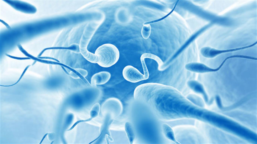 Percutaneous Epididymal Sperm Aspiration Pesa Gentle Steps To