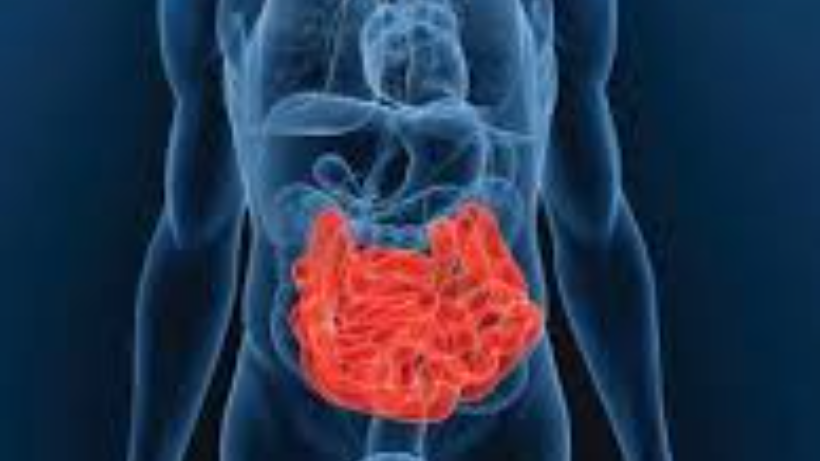 Inside Out: Understanding the Intricacies of Intestine Transplantation